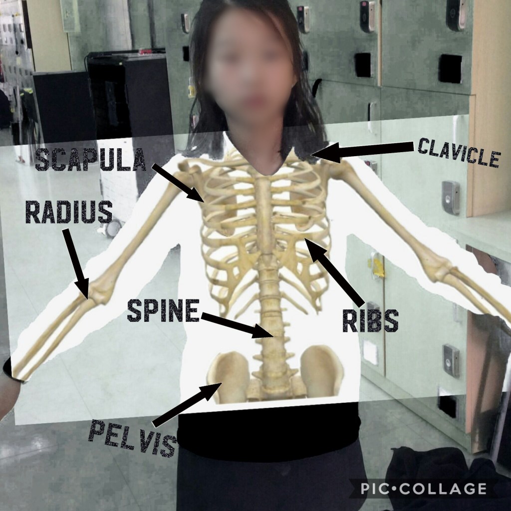 How to use ‘Green Screen’ / ‘Chroma Key’ tech to look inside the human ...