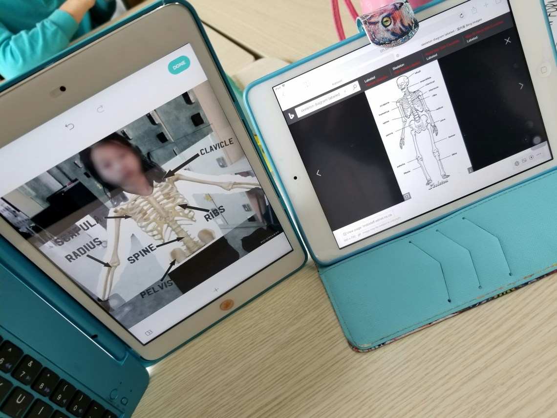 How to use ‘Green Screen’ / ‘Chroma Key’ tech to look inside the human ...