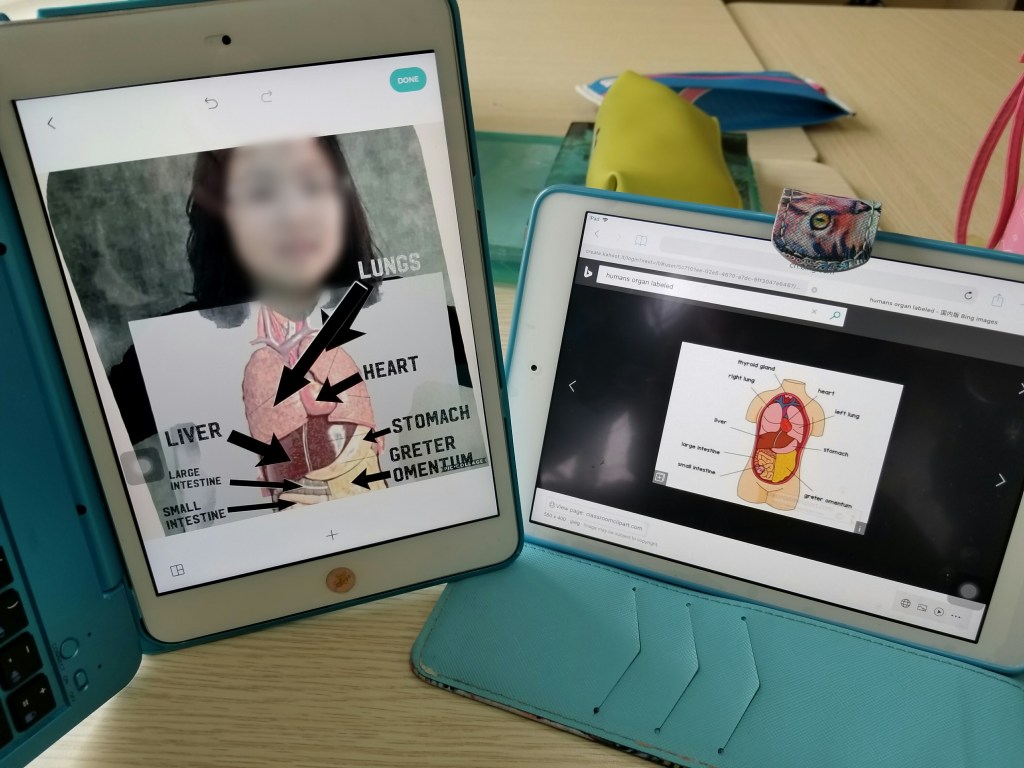 How to use ‘Green Screen’ / ‘Chroma Key’ tech to look inside the human ...